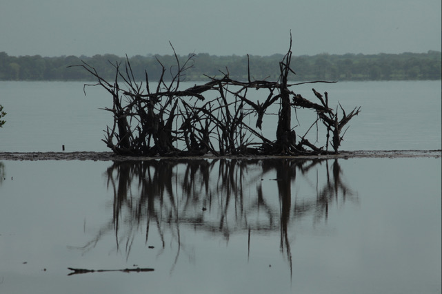 « Tilo Koto » en ciné-débat aux Variétés - Journal Zebuline